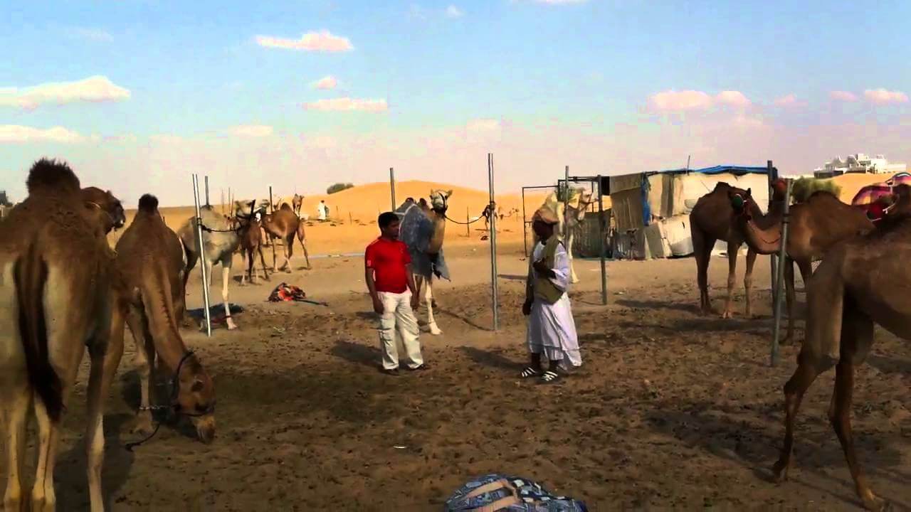 The Hidden Gems of Dubai